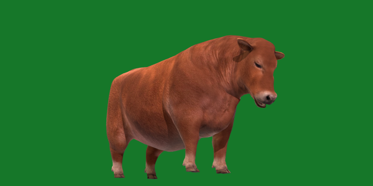 American Beef Cattle – Godot Assets Marketplace