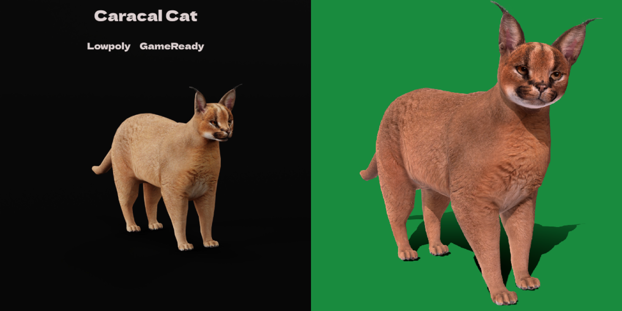 Caracal Wild Cat – Godot Assets Marketplace