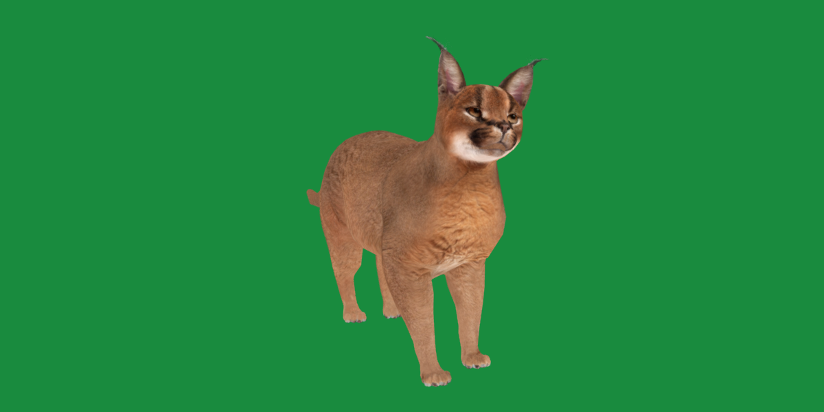 Caracal Wild Cat – Godot Assets Marketplace