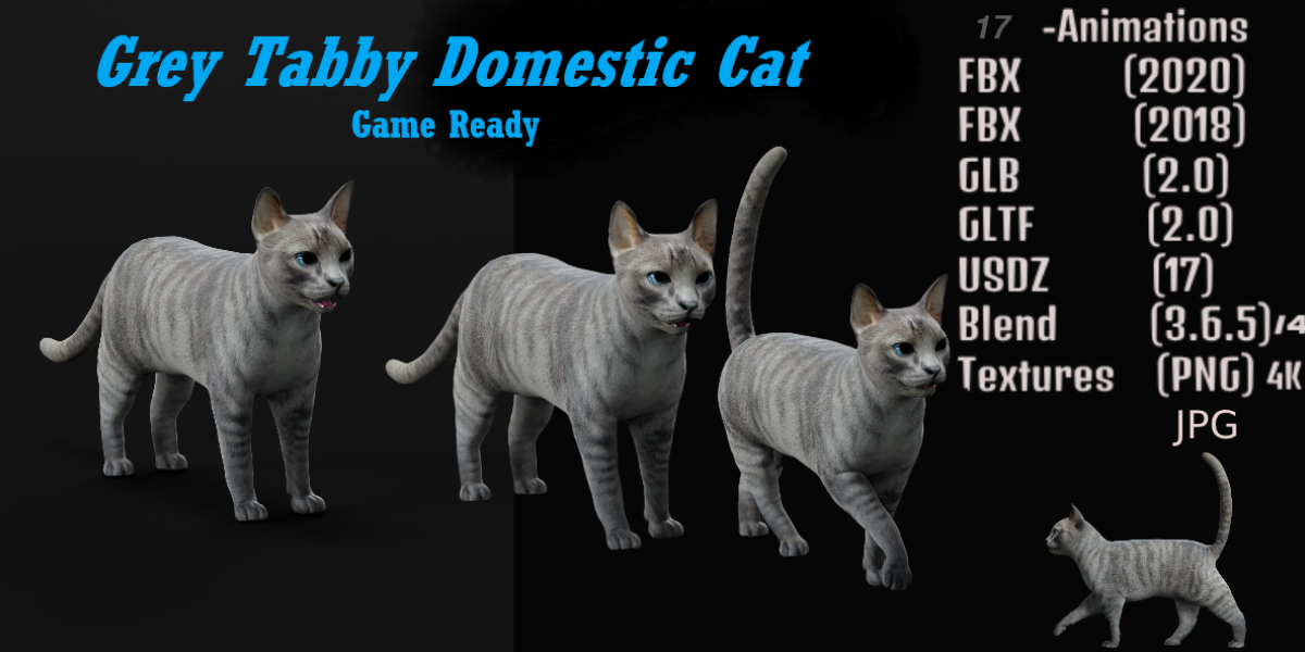 Grey Tabby Cat – Godot Assets Marketplace