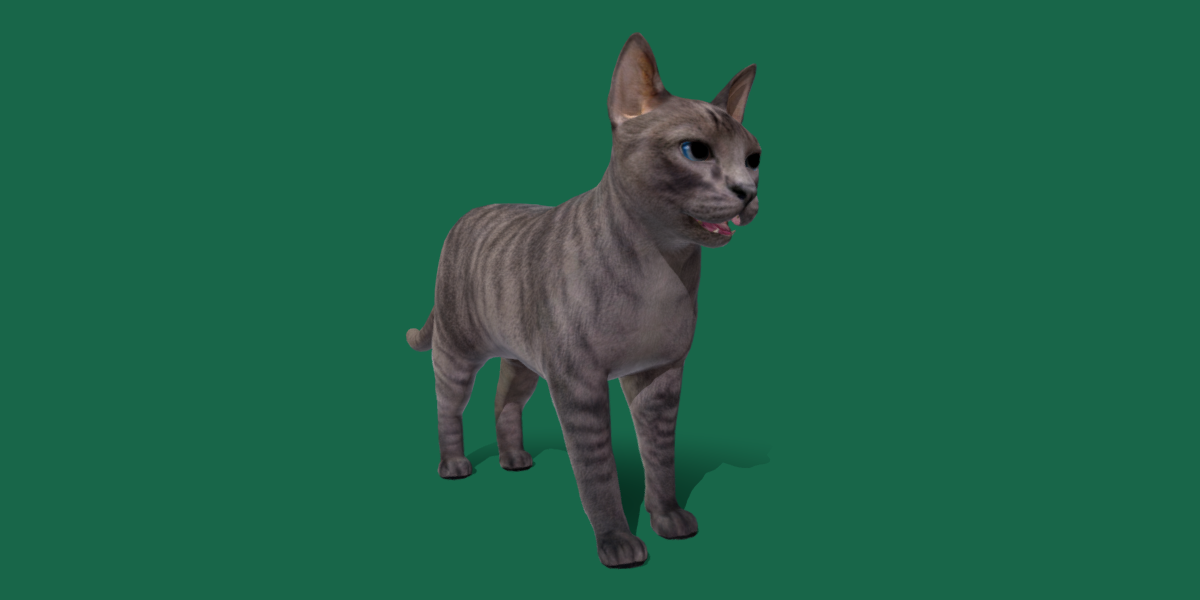 Grey Tabby Cat – Godot Assets Marketplace