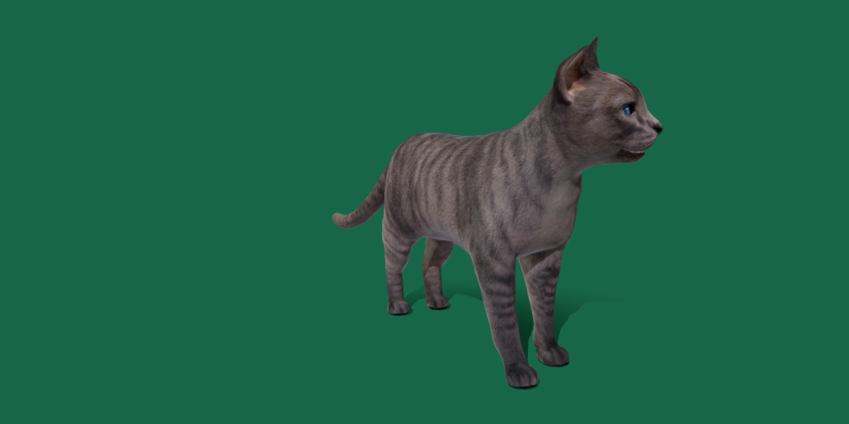 Grey Tabby Cat – Godot Assets Marketplace
