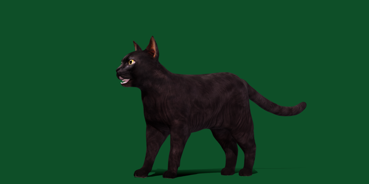 Black Domestic Cat – Godot Assets Marketplace