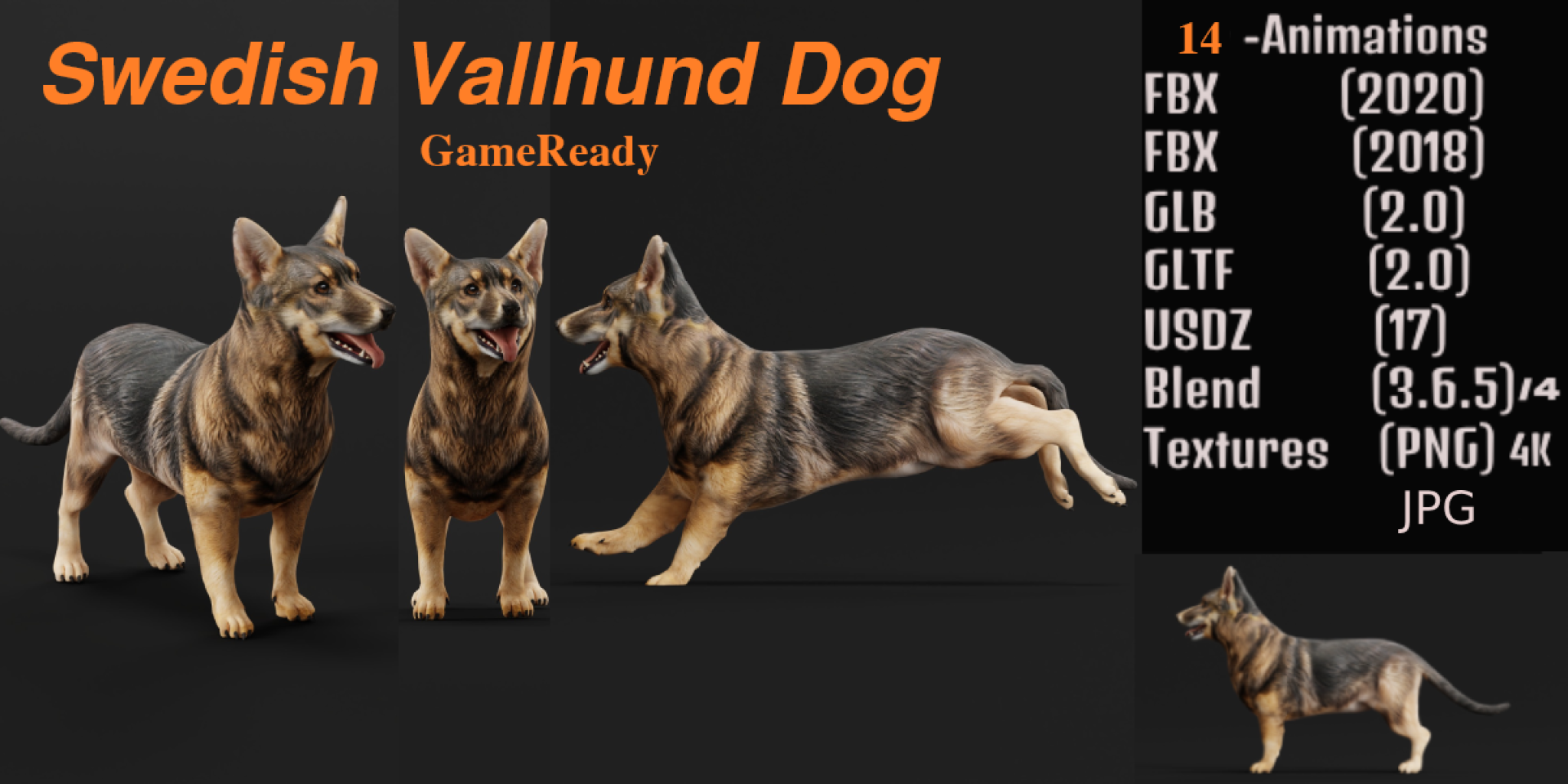 Swedish Vallhund Dog – Godot Assets Marketplace
