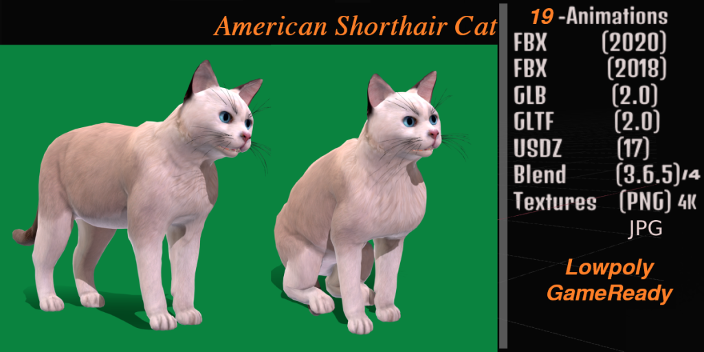 American Shorthair Domestic Cat – Godot Assets Marketplace