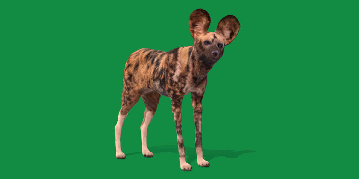 African Wild Dog – Godot Assets Marketplace