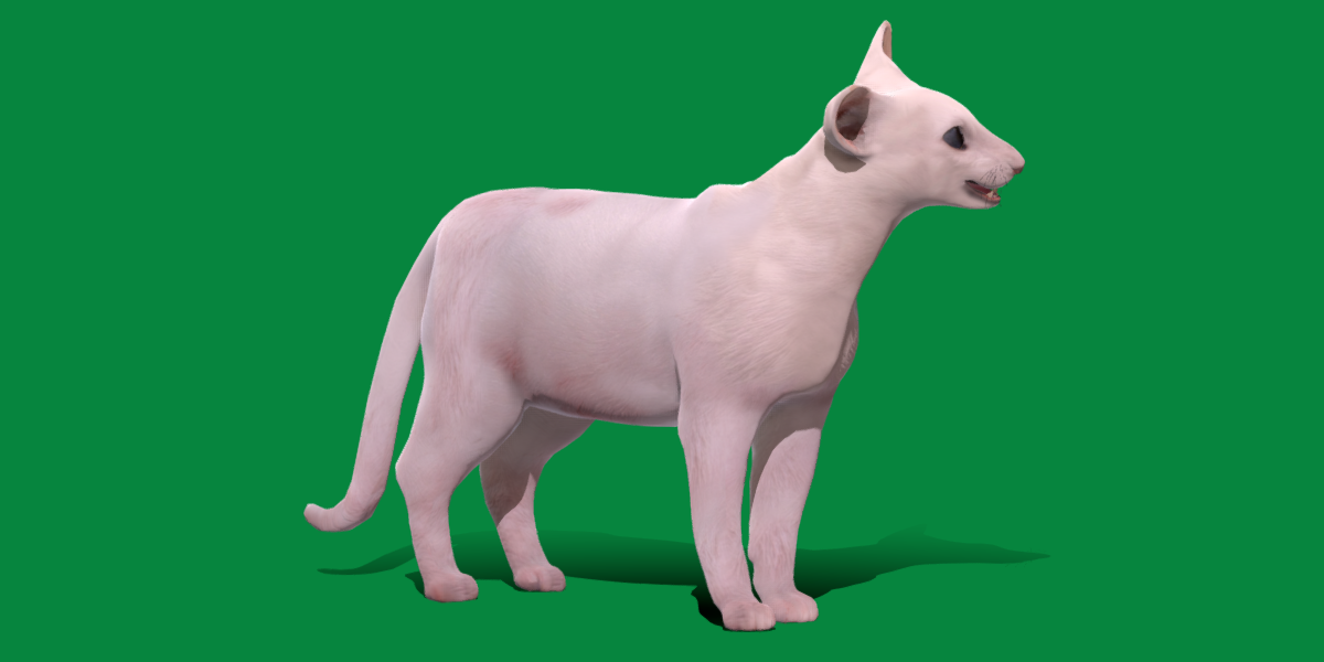Oriental Longhair Cat – Godot Assets Marketplace