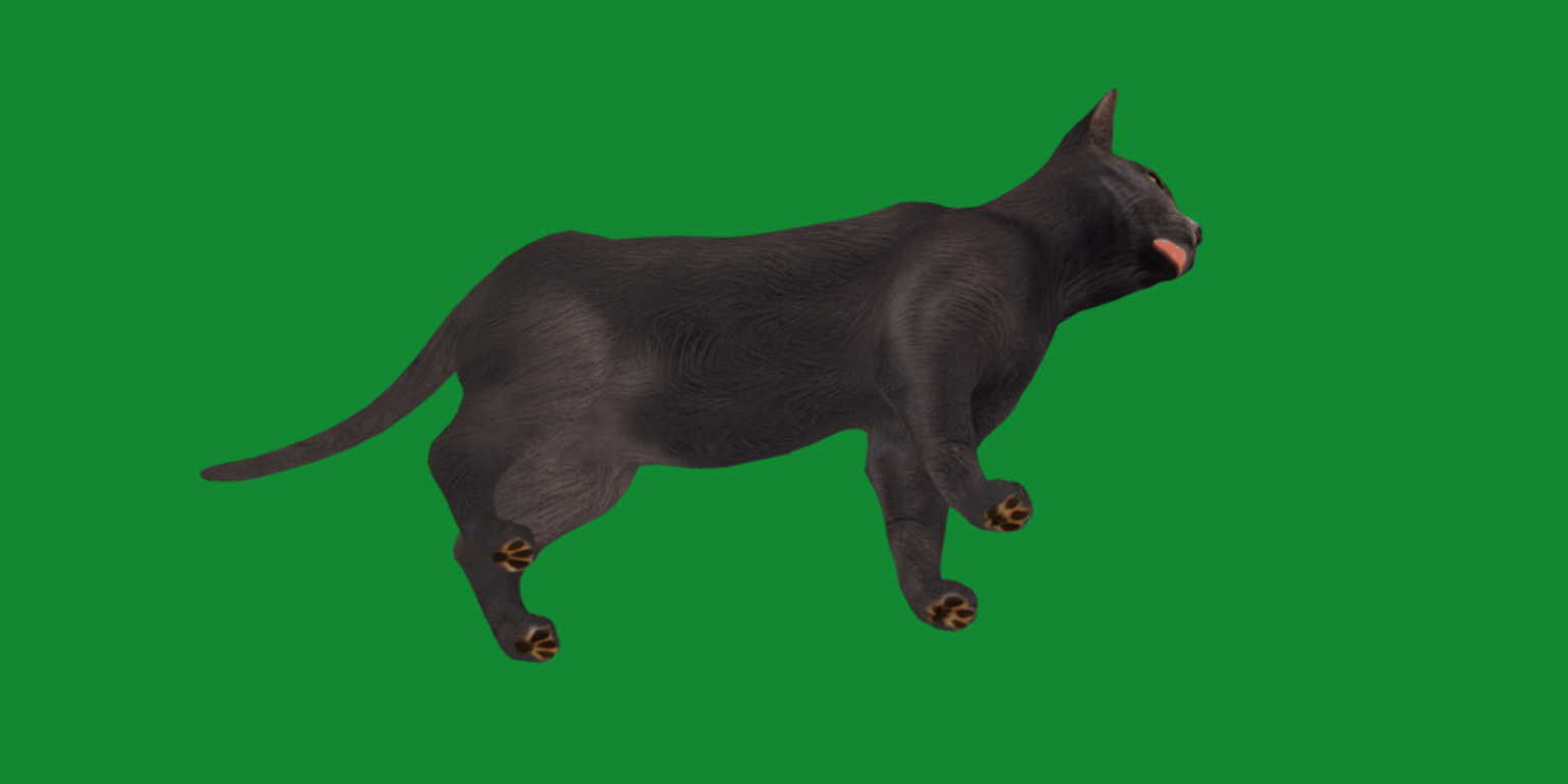 Korat Domestic Cat – Godot Assets Marketplace